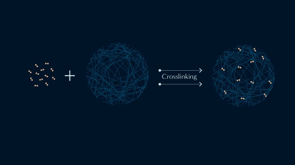 Discover MaiLi's OxiFree Hyaluronic Acid (HA) Technology & Process - MaiLi